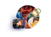 SOBRE – WDF Company